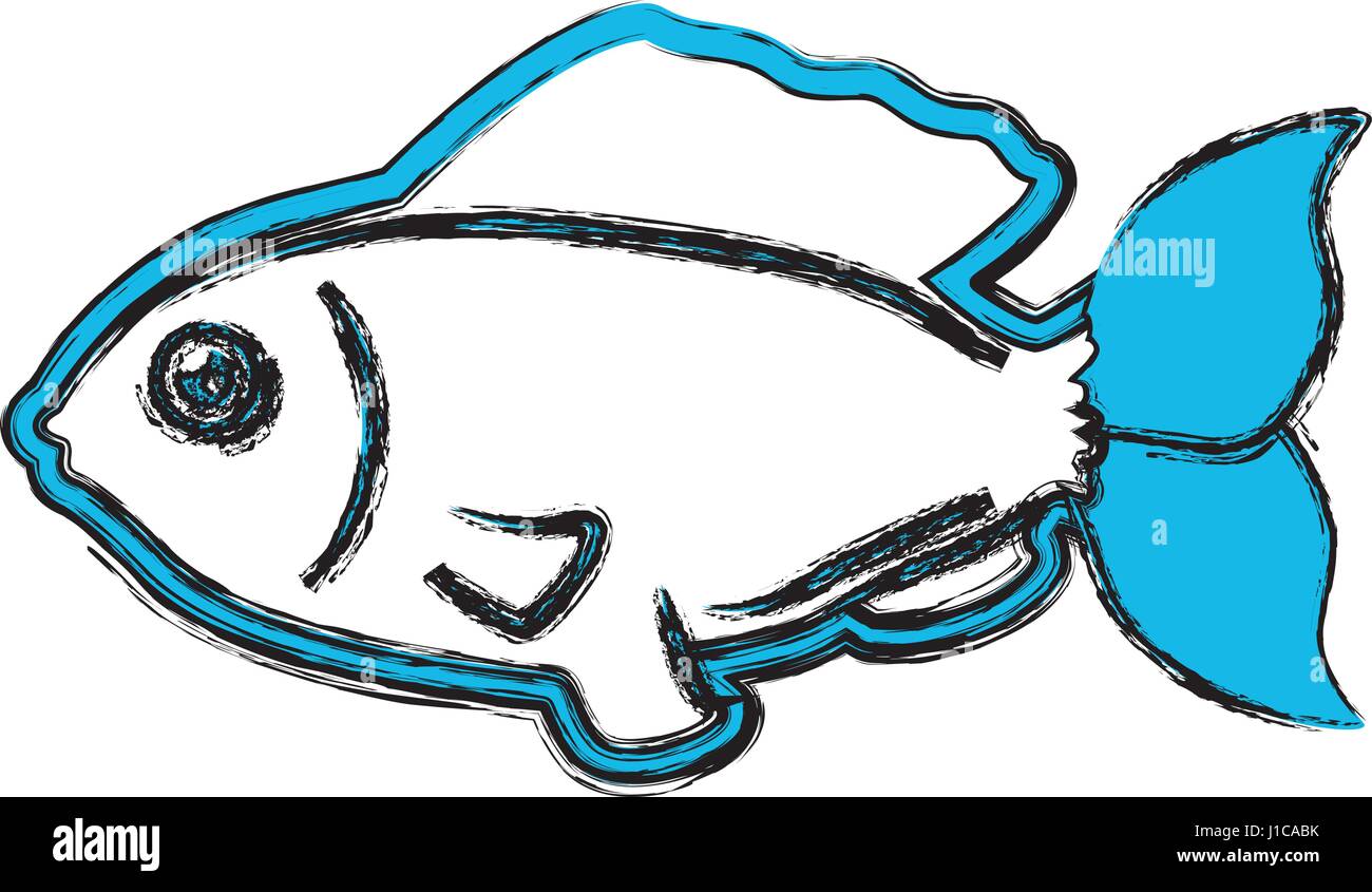 Fish sea animal symbol Stock Vector Image & Art - Alamy