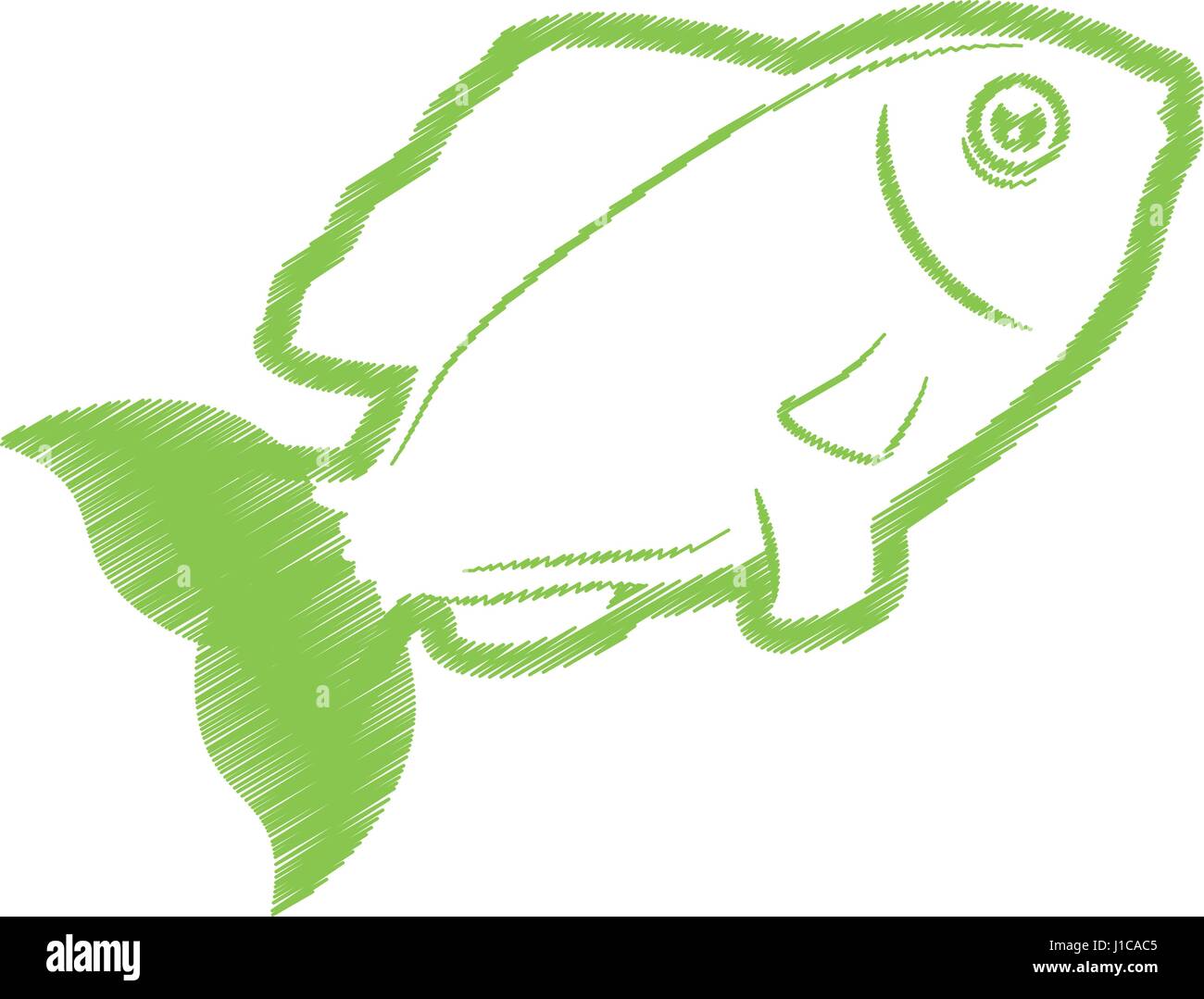 Fish sea animal symbol Stock Vector Image & Art - Alamy
