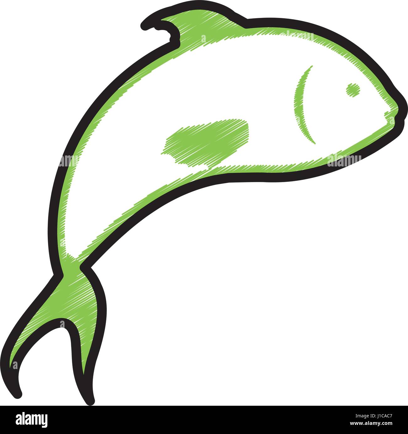 Fish sea animal symbol Stock Vector Image & Art - Alamy