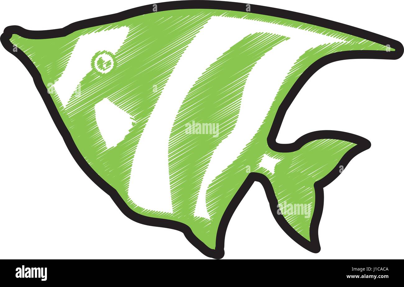 Fish sea animal symbol Stock Vector Image & Art - Alamy