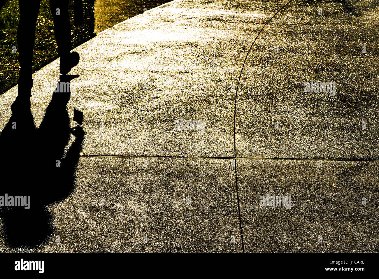 North Carolina afternoon shadows Stock Photo - Alamy