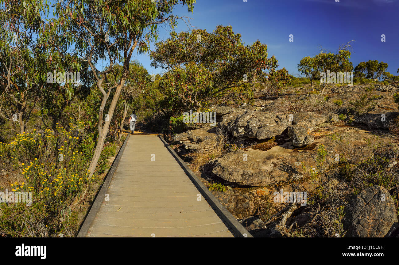 Great views overlooking the Victoria Valley Stock Photo - Alamy