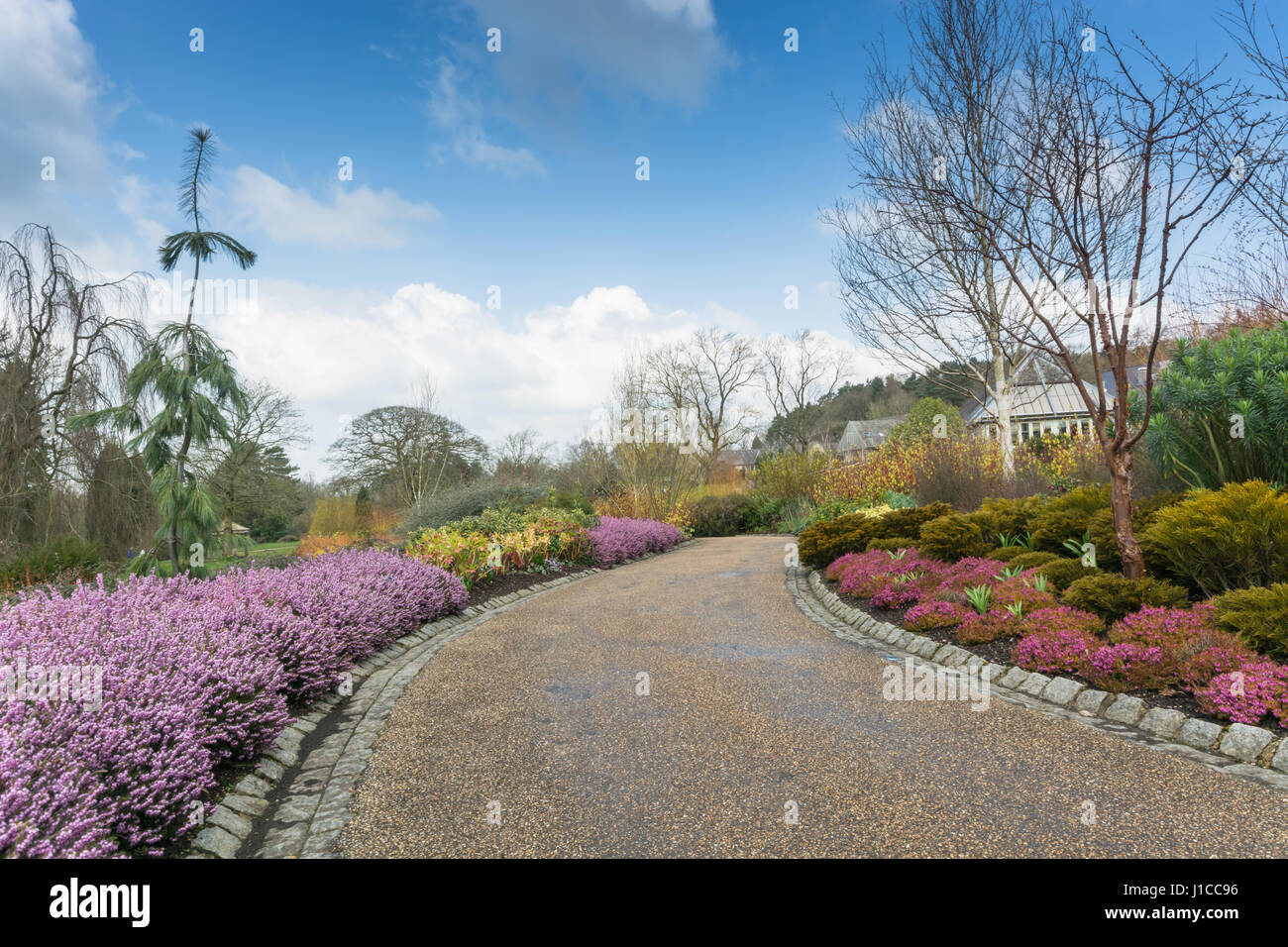Heather border garden path hi-res stock photography and images - Alamy