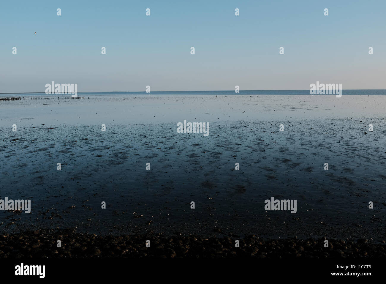 Romo High Resolution Stock Photography and Images - Alamy