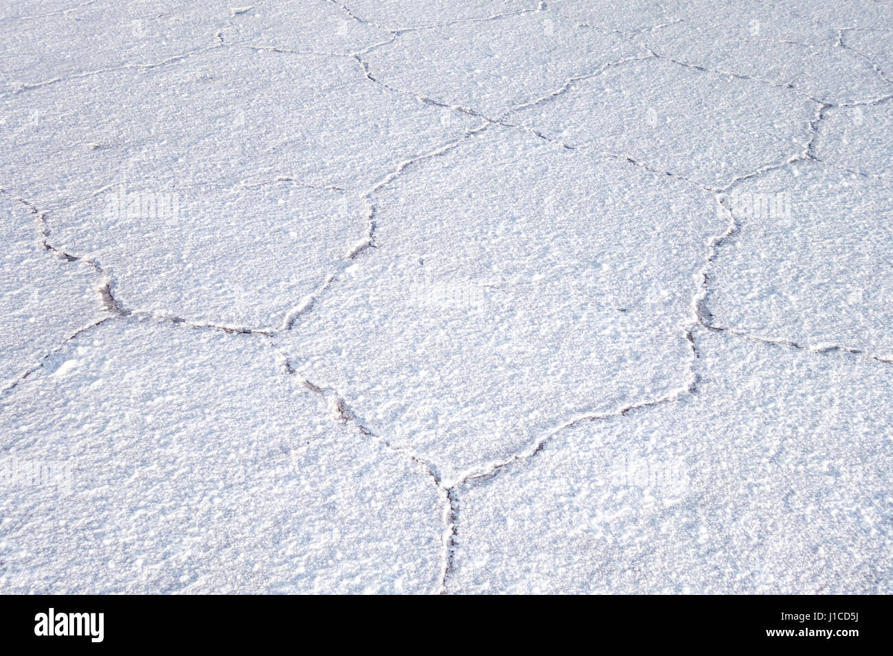 Salar de Uyuni salt white flats desert, Andes Altiplano, Bolivia Stock ...