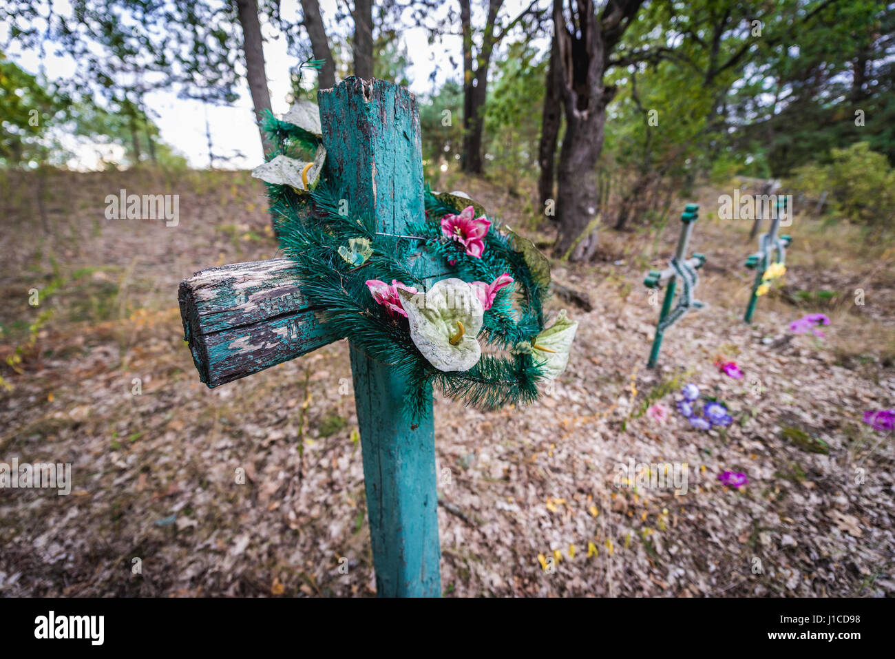Wooden cross on cemetery in abandoned Zymovyshche village Chernobyl ...