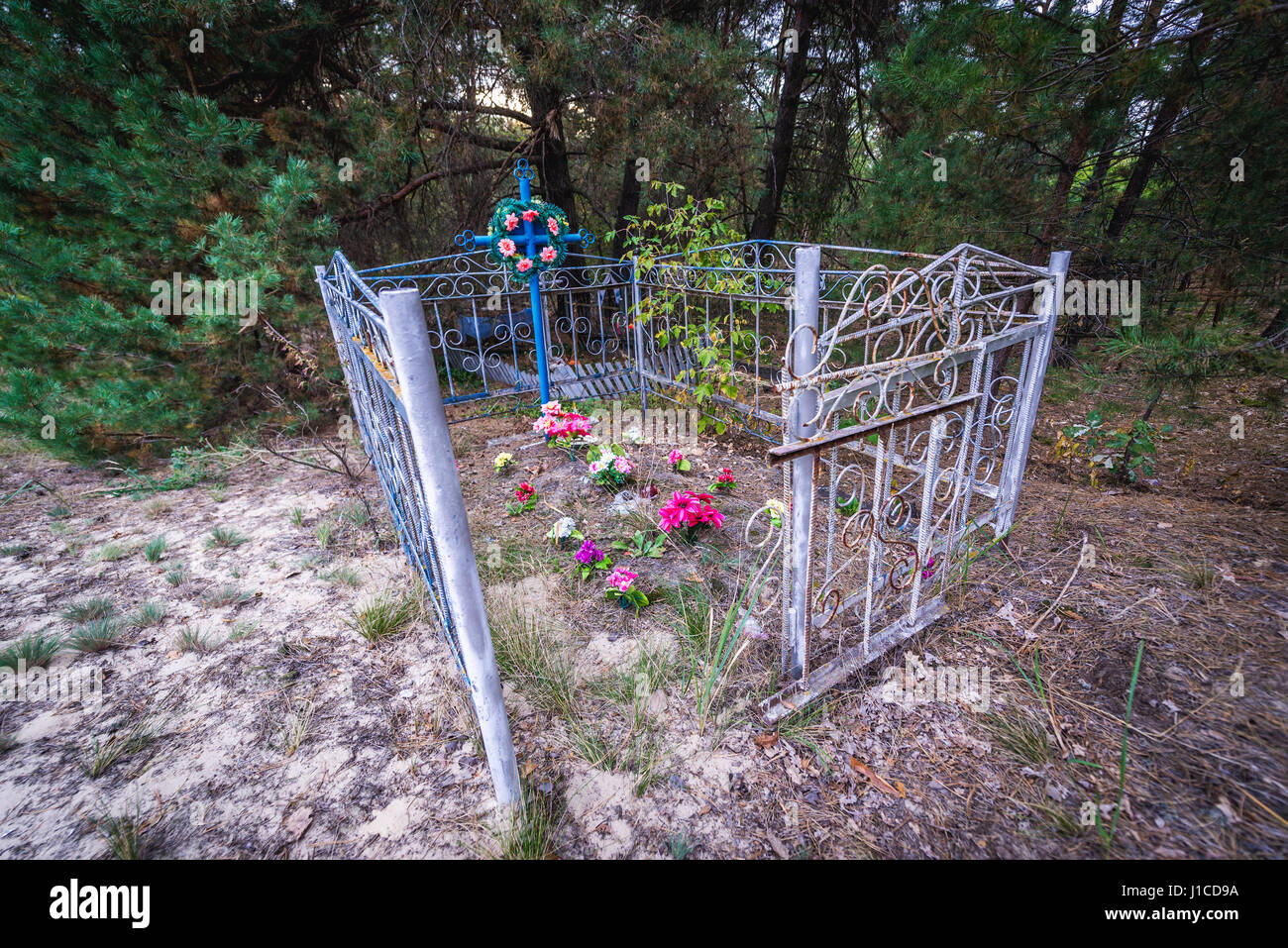 Grave on a cemetery in abandoned Zymovyshche village Chernobyl Nuclear ...