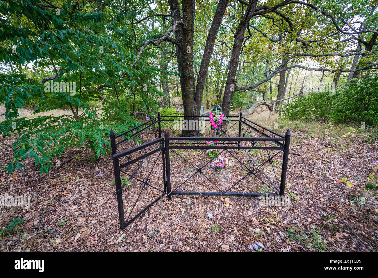 Grave on a cemetery in abandoned Zymovyshche village Chernobyl Nuclear ...