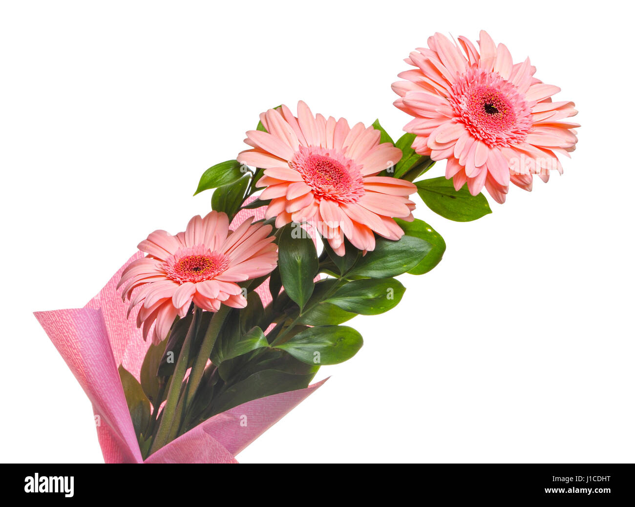 Bunch of gerbera isolated on white background Stock Photo - Alamy