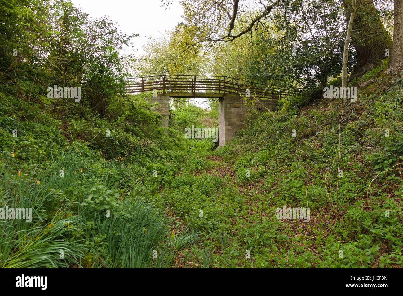 Abandoned track of the Glyn Valley Tramway in Chirk which once serviced ...