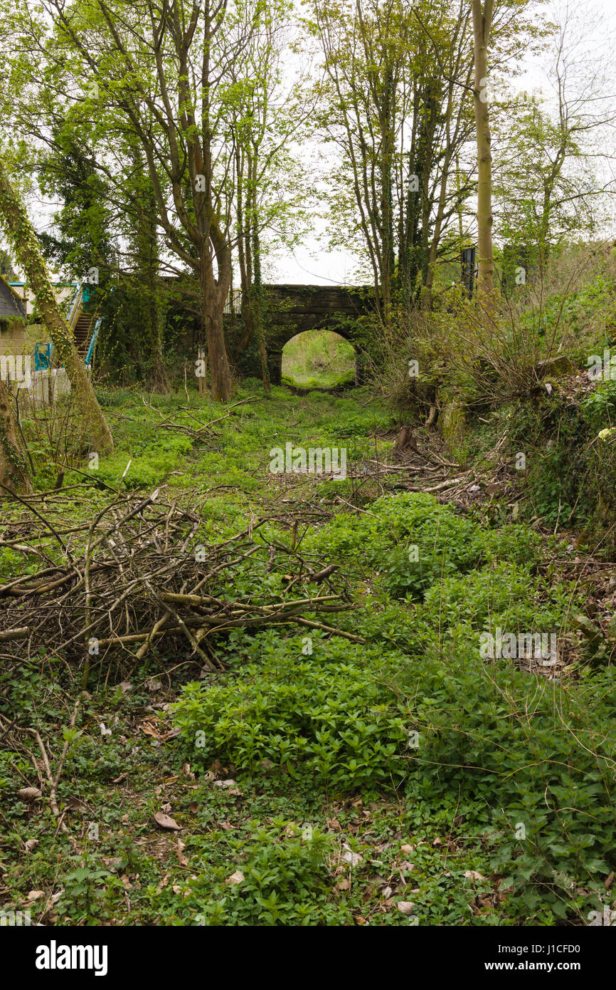 Abandoned track of the Glyn Valley Tramway in Chirk which once serviced ...