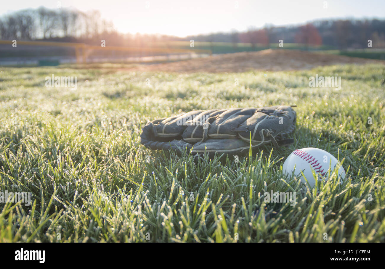 Baseball glove and ball on grass field in early morning dew as sun ...