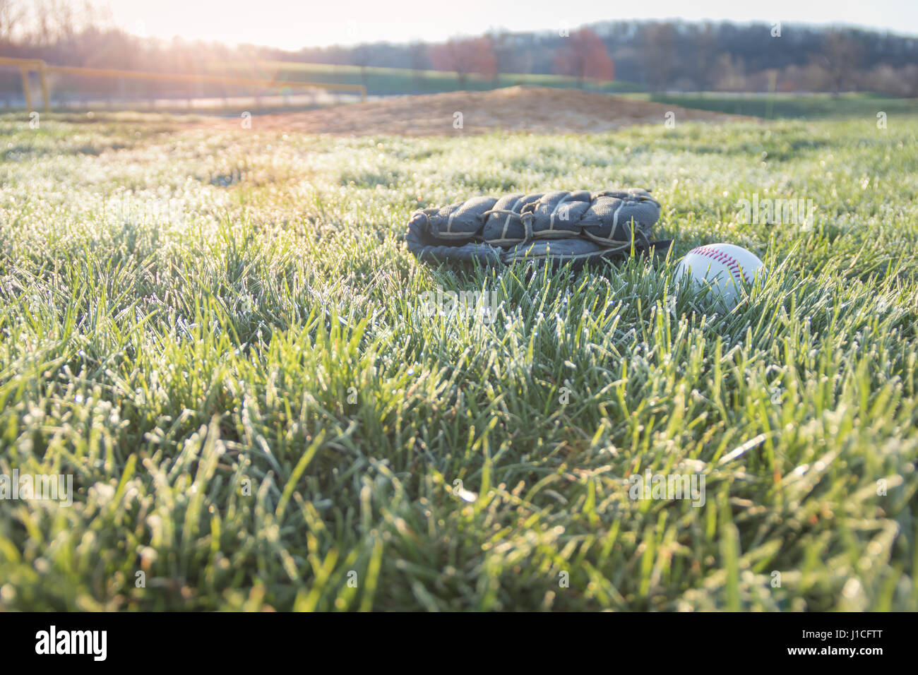 Baseball glove and ball on grass field in early morning dew as sun ...