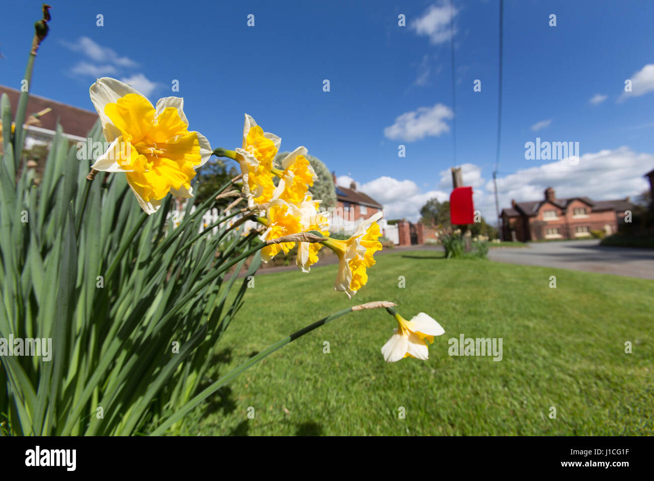 Village of Barton, England. Spring view of Barton Road, in the ...