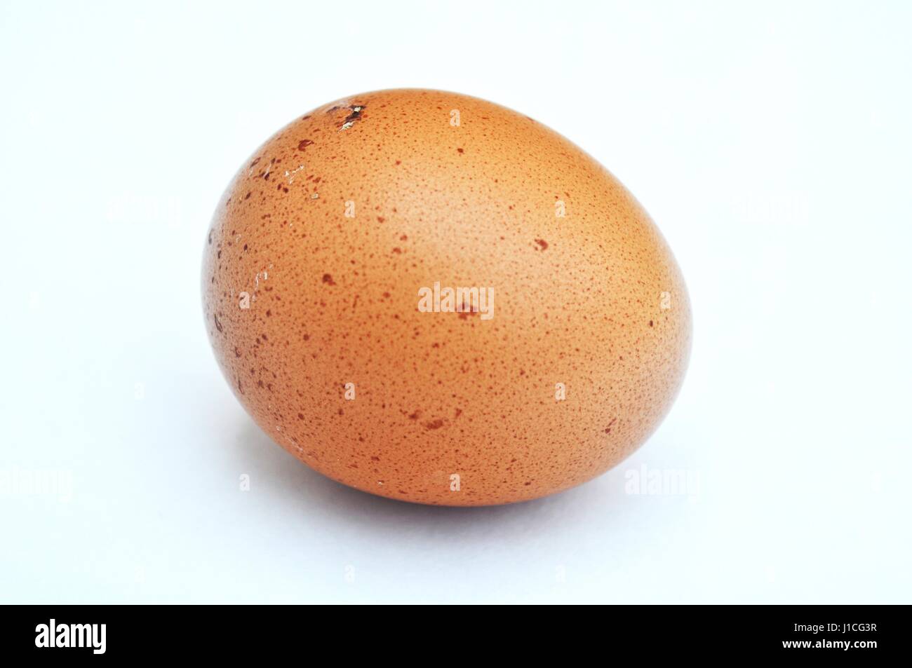 Egg. Isolated on white background Stock Photo - Alamy
