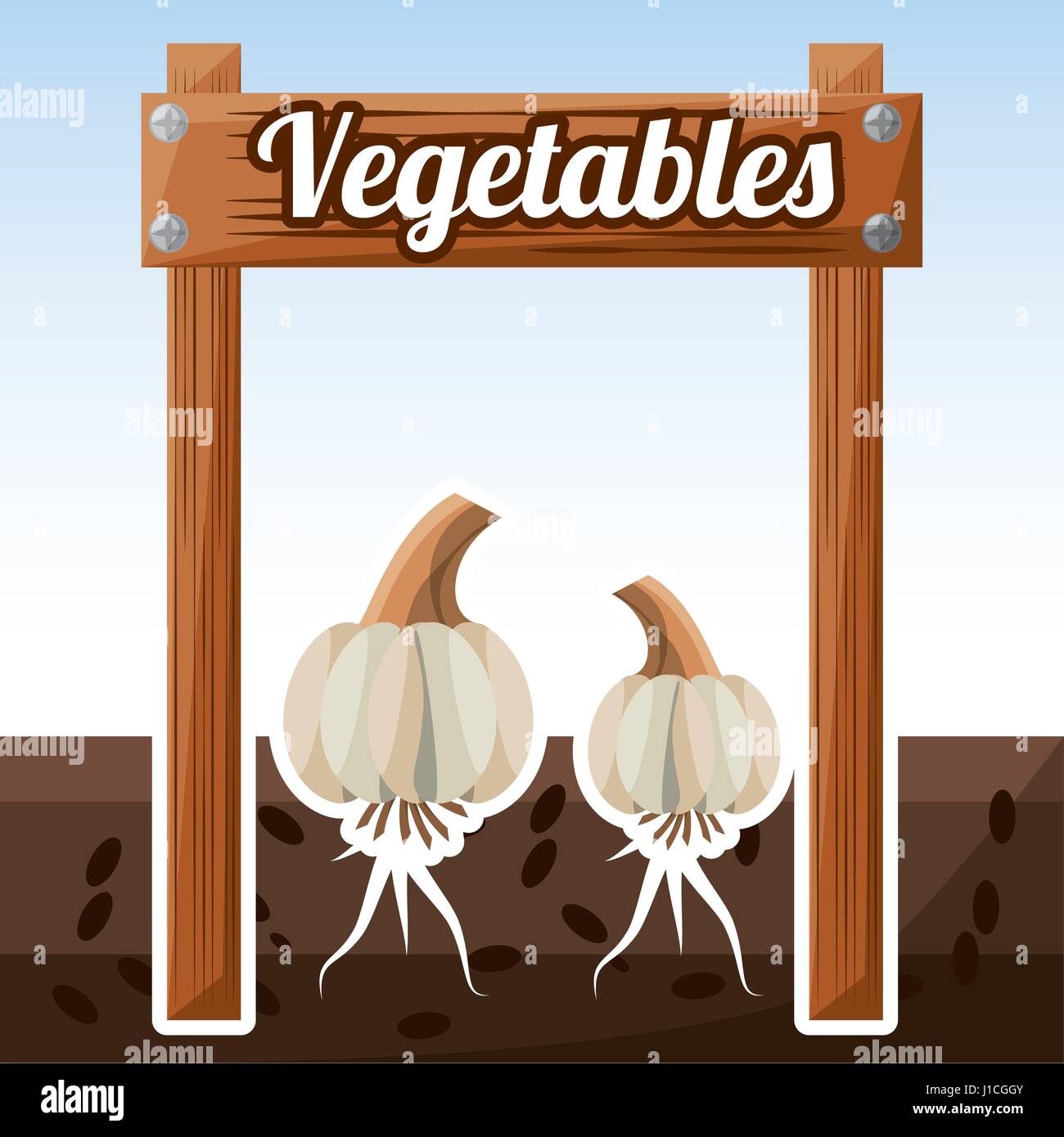 Garlic growing in vegetable Stock Vector Images - Alamy