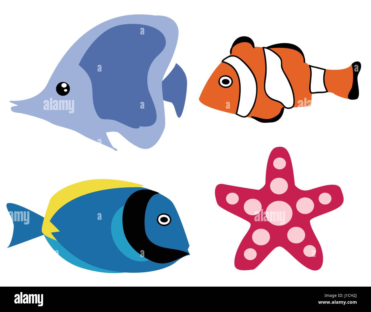 Exotic fish, vector illustartion Stock Vector Image & Art - Alamy