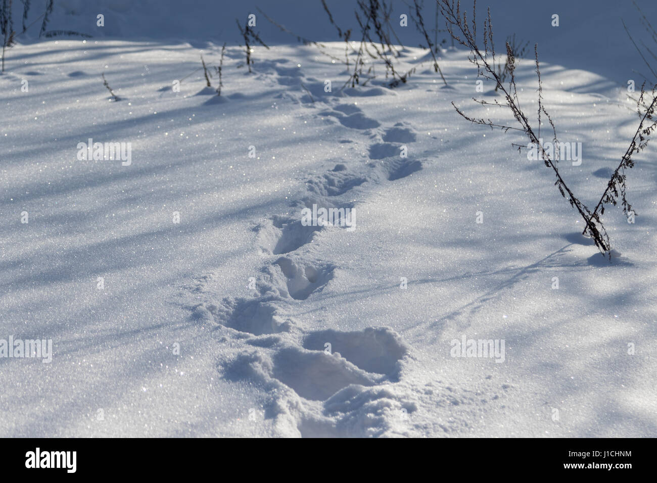 One foot of snow hi-res stock photography and images - Alamy