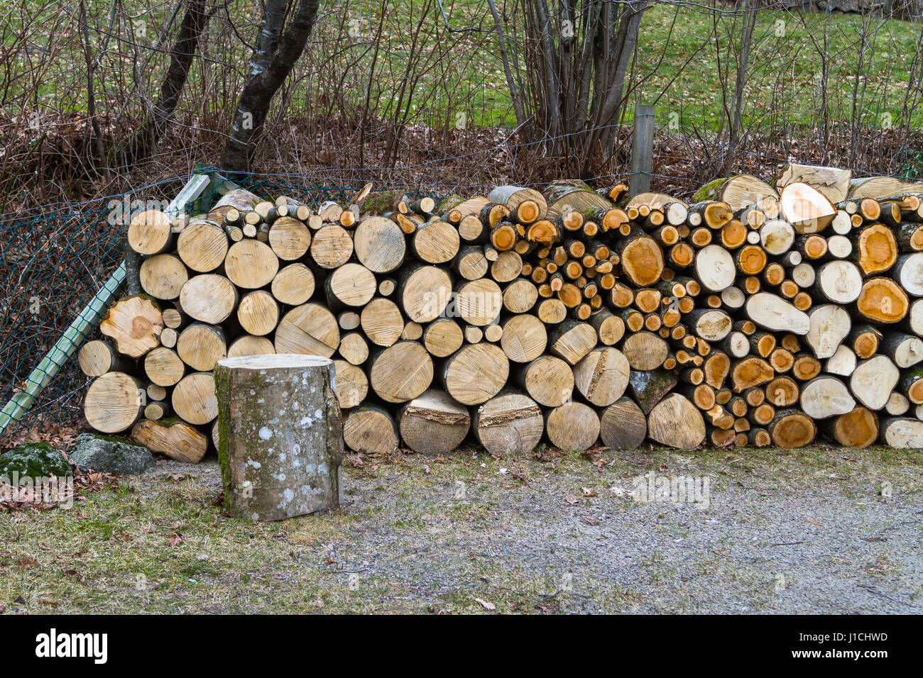 photo of a pile of natural wooden logs with natural background Stock ...