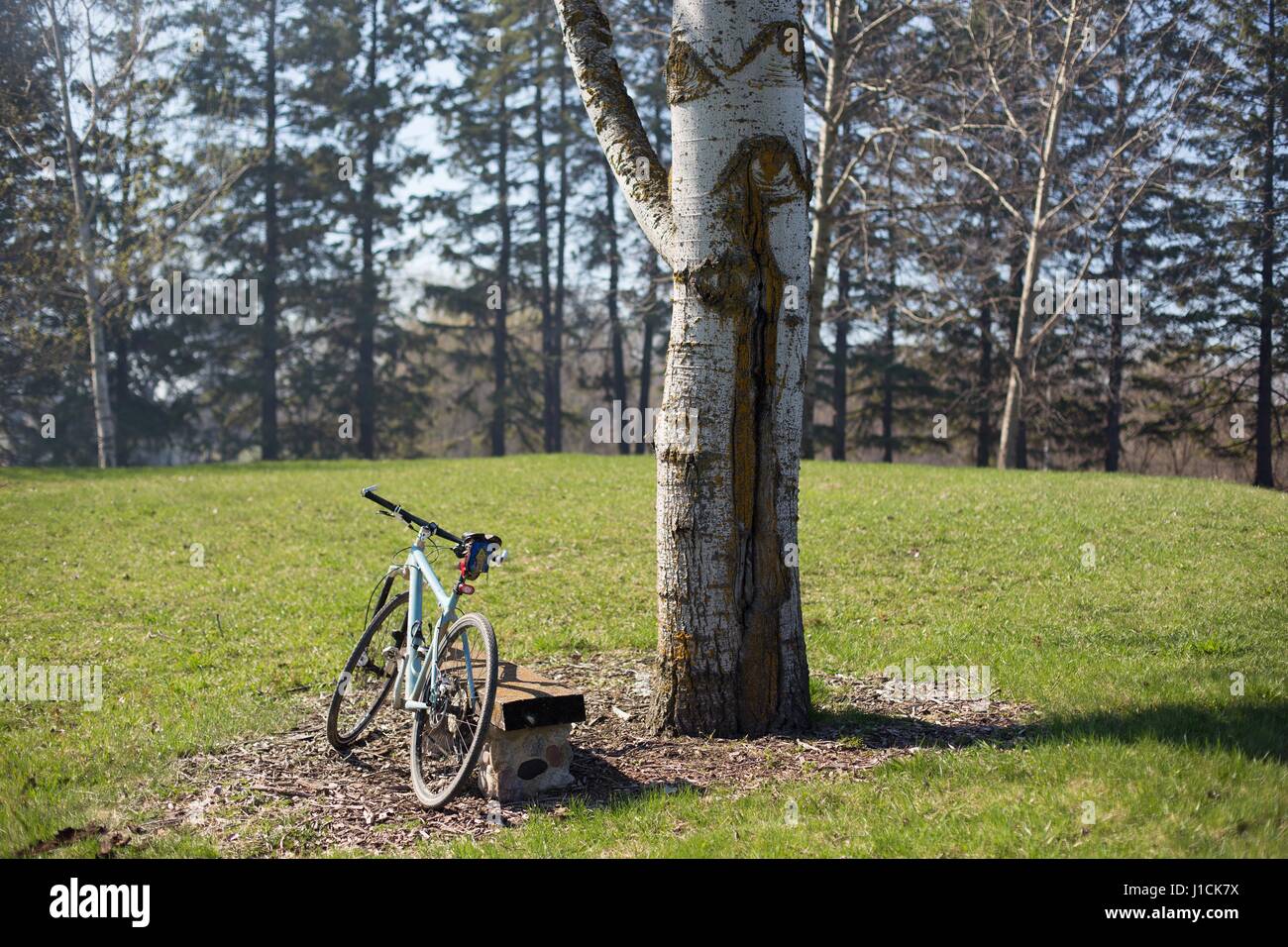 Bicycle leaning against tree hi-res stock photography and images - Alamy