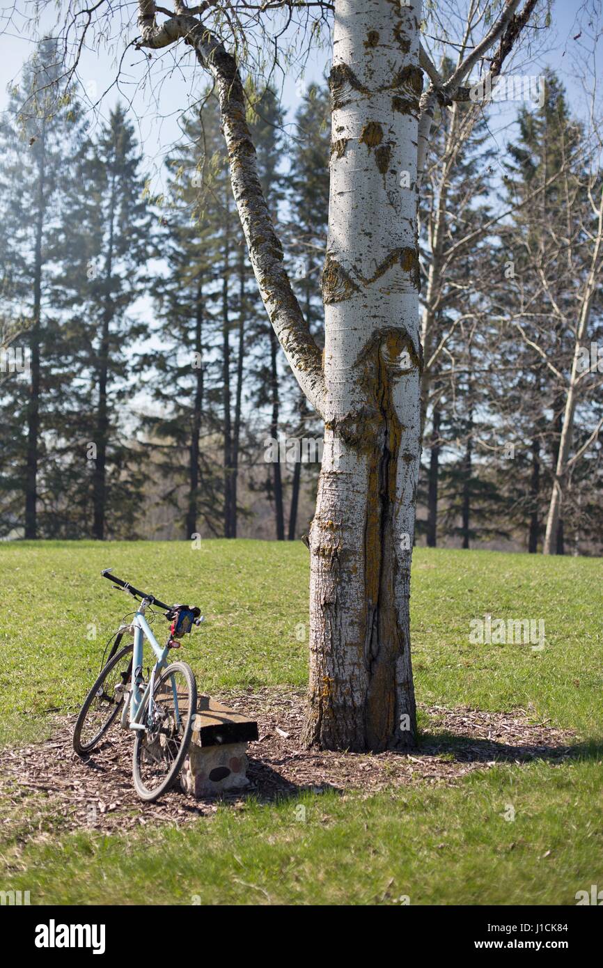 Bicycle leaning against tree hi-res stock photography and images - Alamy