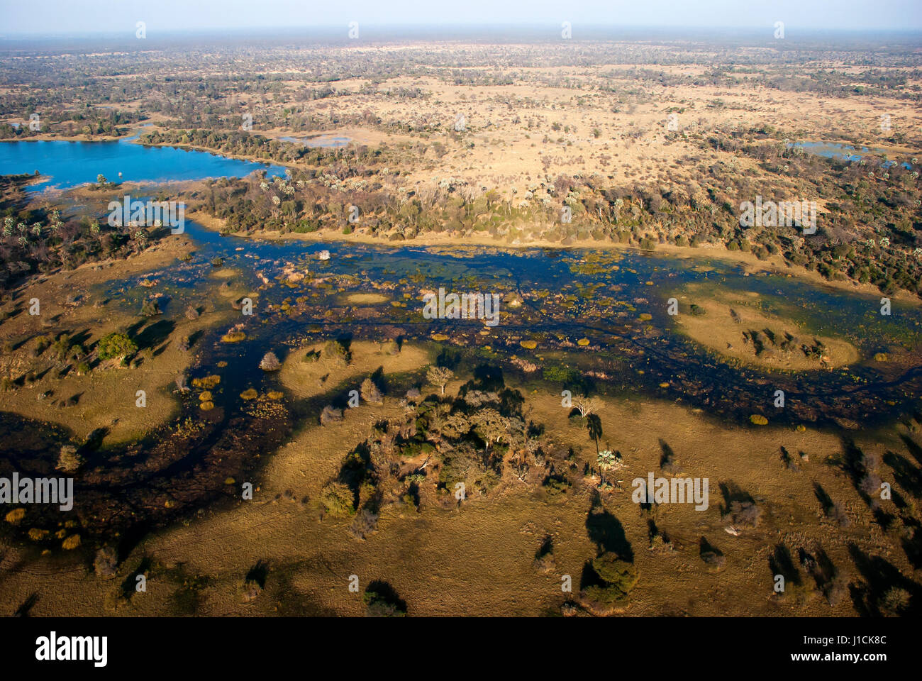 Aerial view of the Okavango Delta, Botswana Stock Photo - Alamy