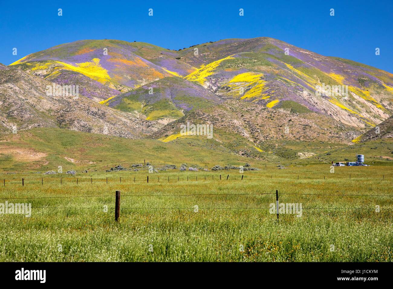 Grassland carrizo plains national monument hi-res stock photography and ...