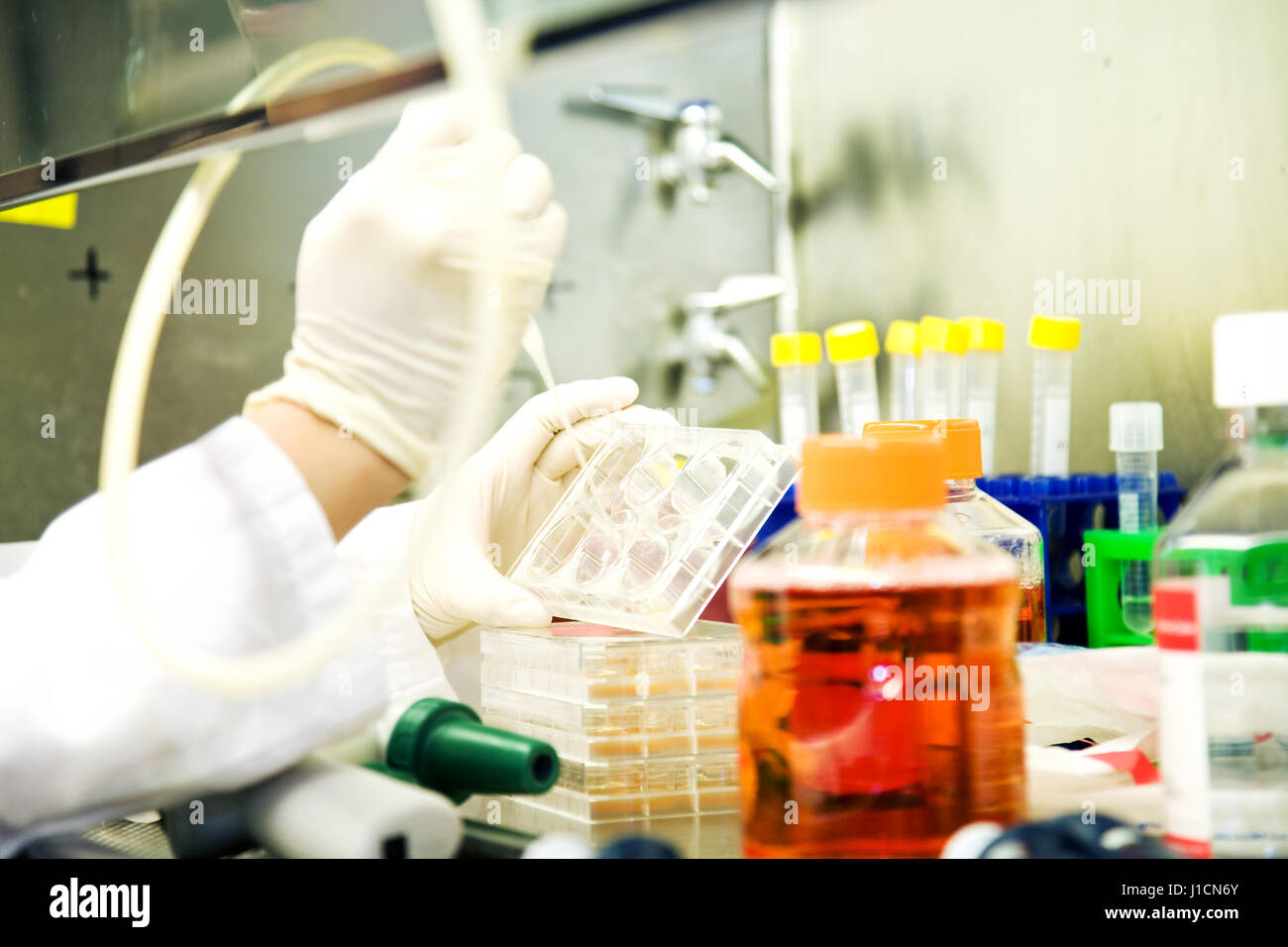 A scientist working on a sample DNA test at the lab Stock Photo - Alamy