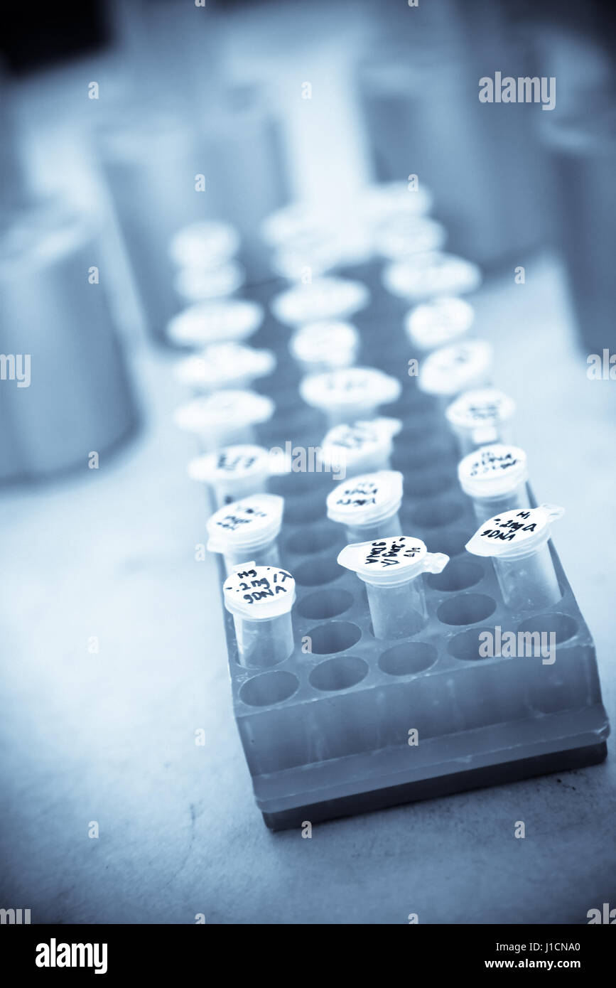 A shot of DNA samples in a laboratory in blue tone Stock Photo - Alamy