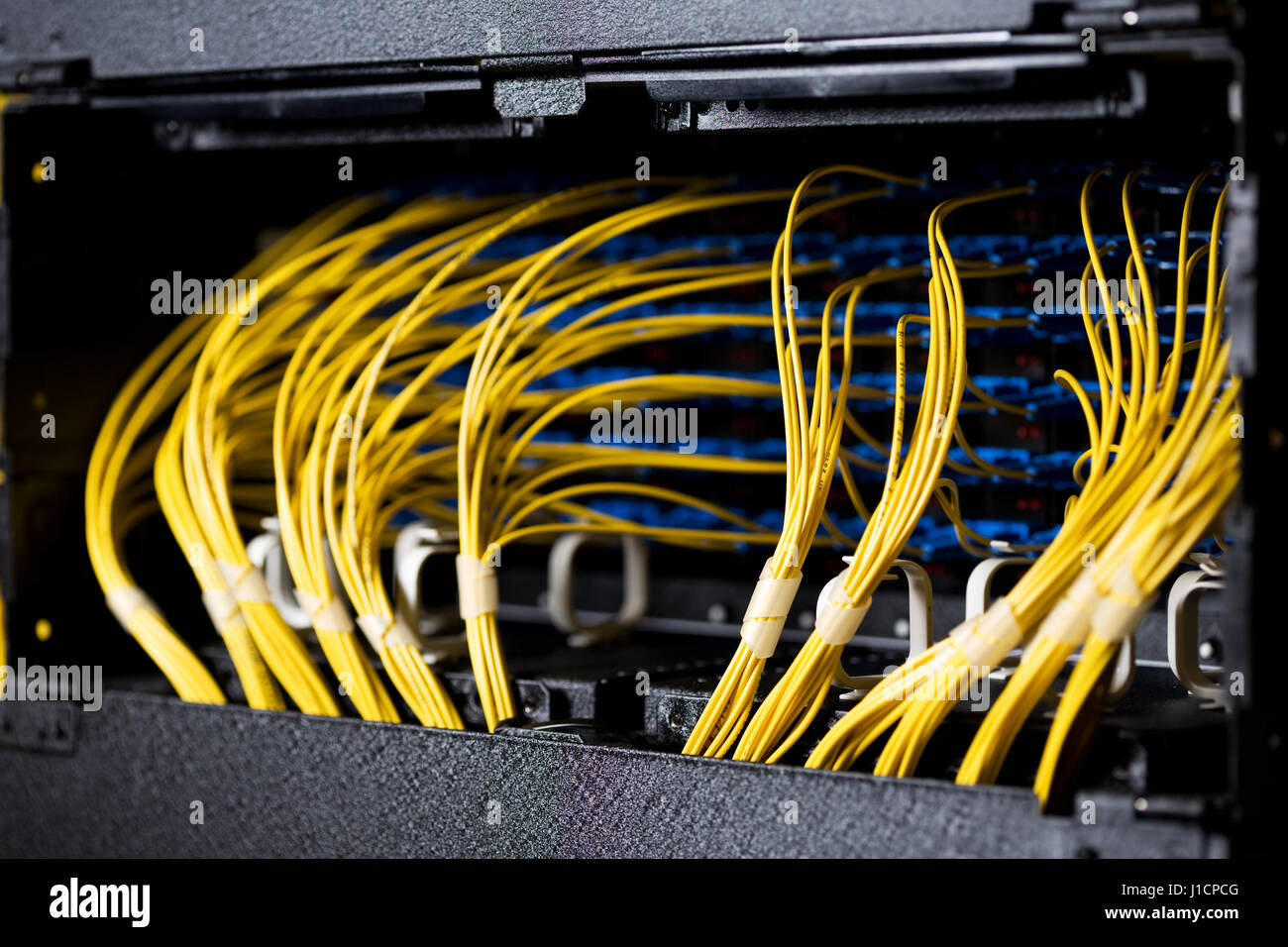 A shot of network cables connected to a panel Stock Photo - Alamy