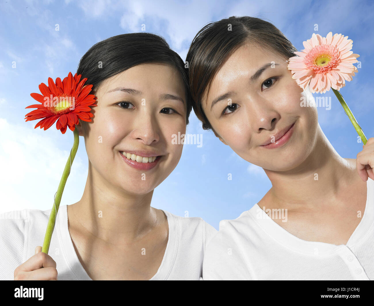 Twin daisy hi-res stock photography and images - Alamy