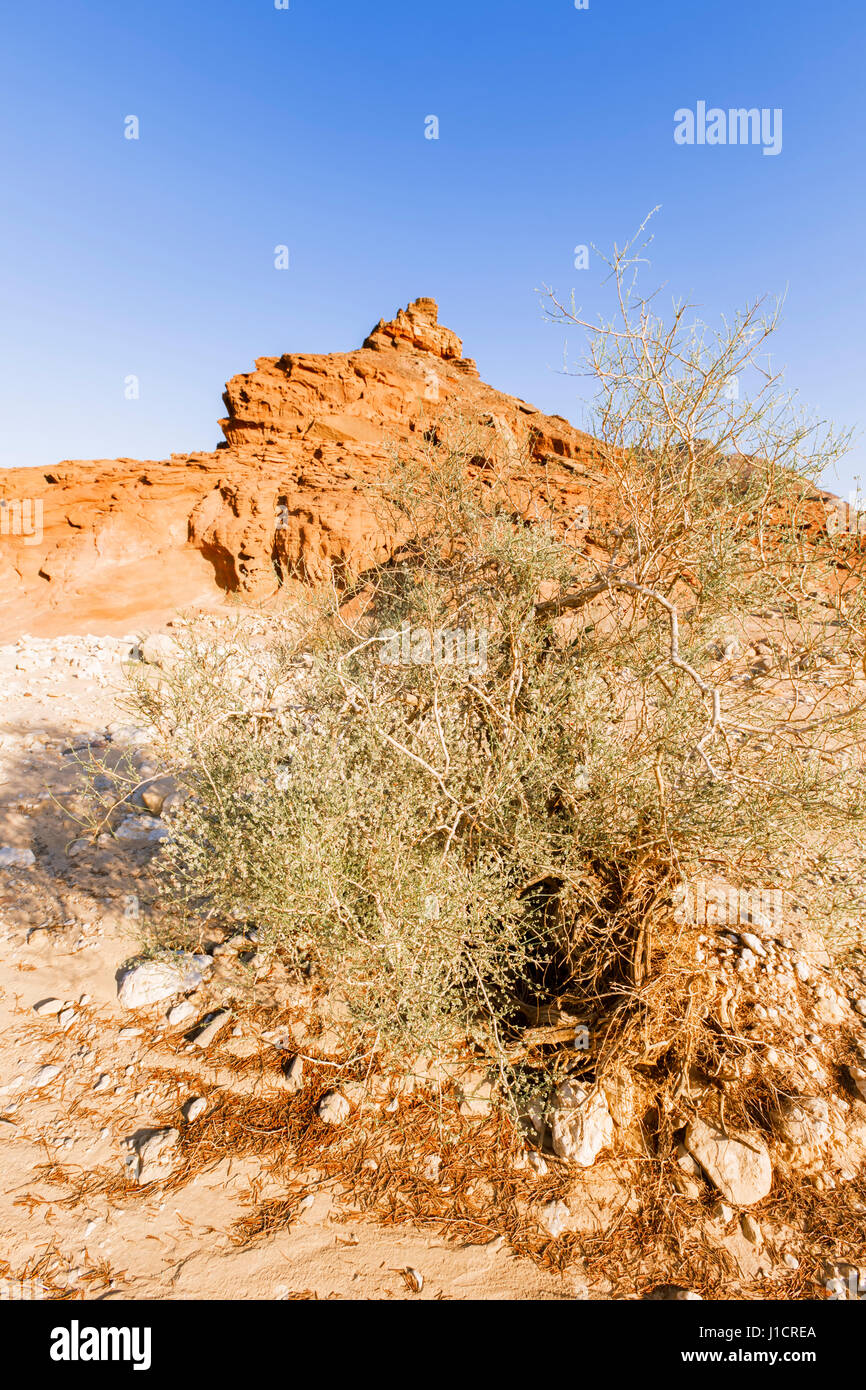 View of Timna Valley in Israeli Negev Desert Stock Photo - Alamy