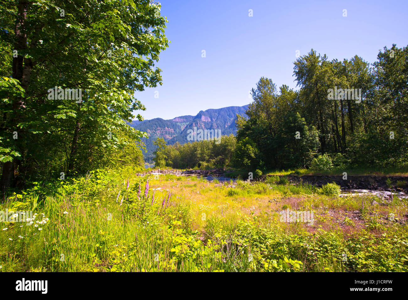 Unique landscape in Columbia Gorge, which is a spectacular panorama of ...