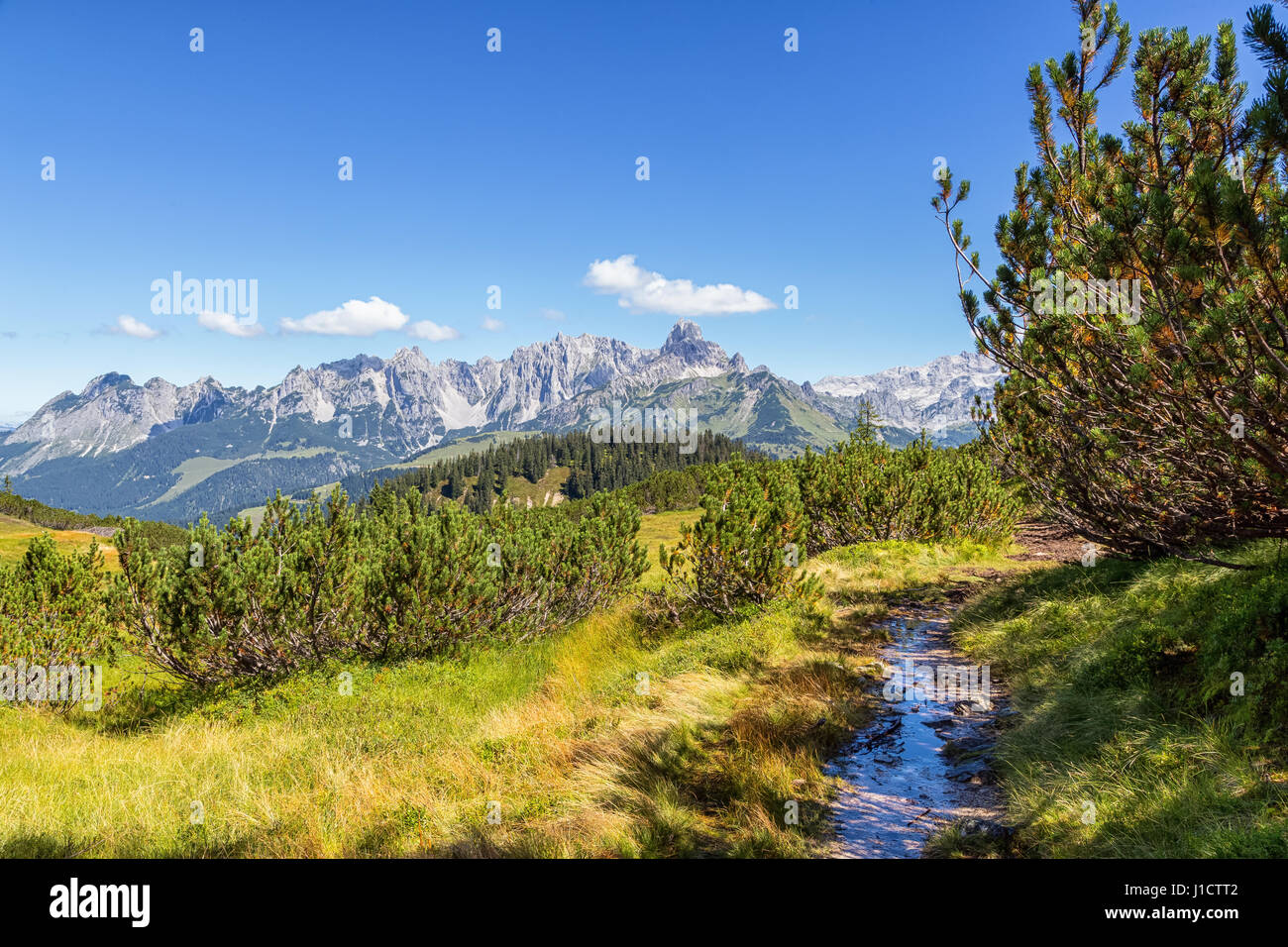 Path leading through bushes with view to Austrian Alps Stock Photo - Alamy