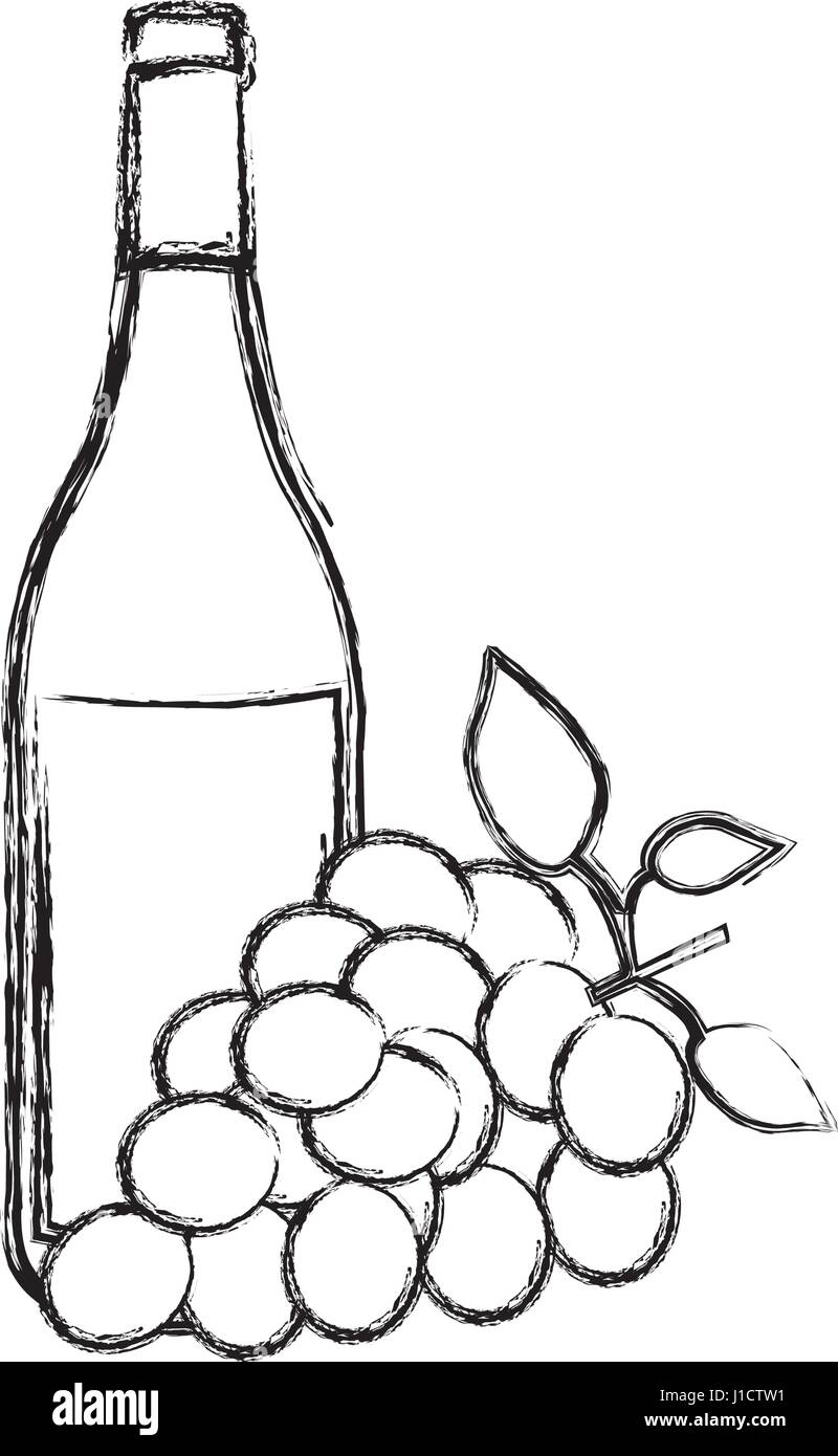 monochrome sketch silhouette with bottle of wine and bunch of grapes ... monochrome sketch silhouette with bottle of wine and bunch of grapes ...
