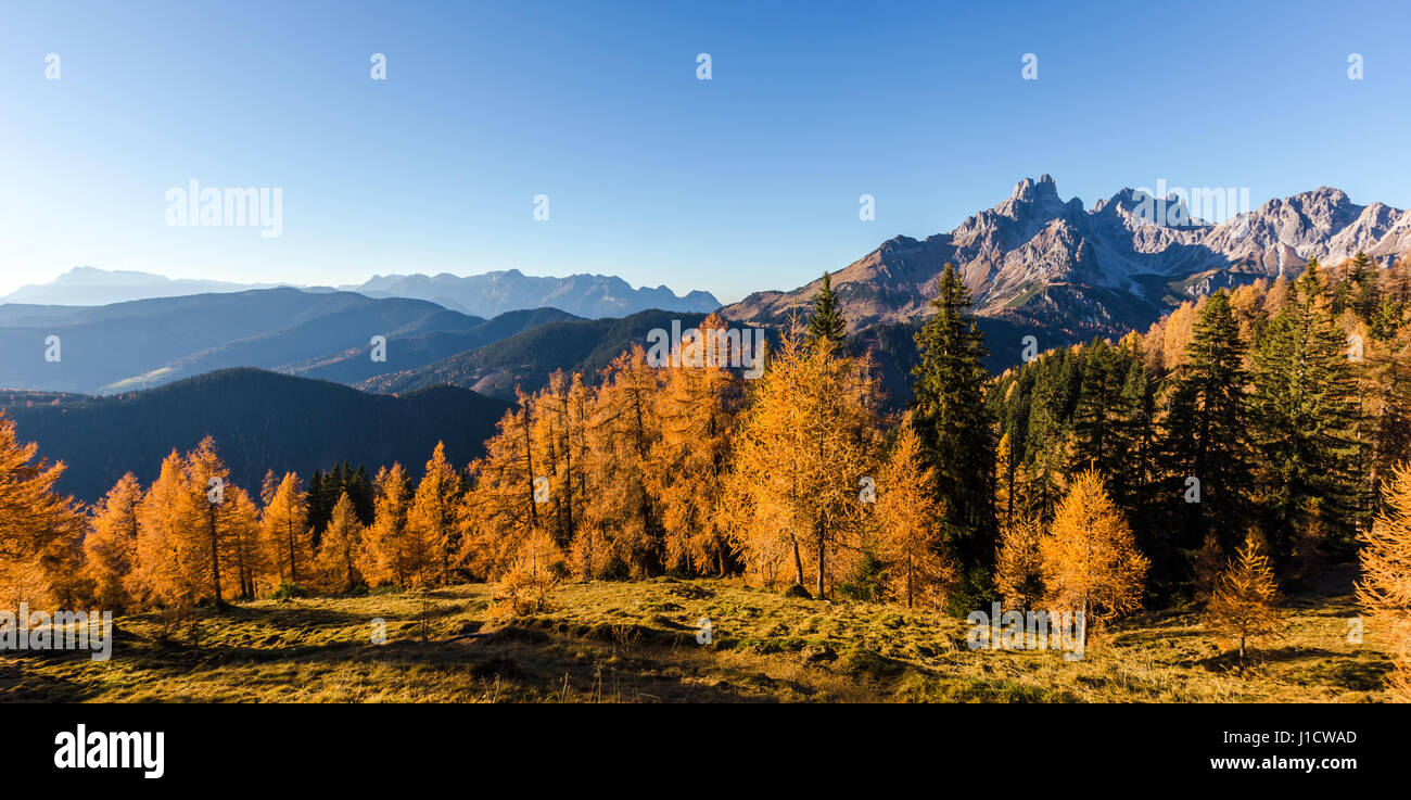 Golden colored hi-res stock photography and images - Alamy