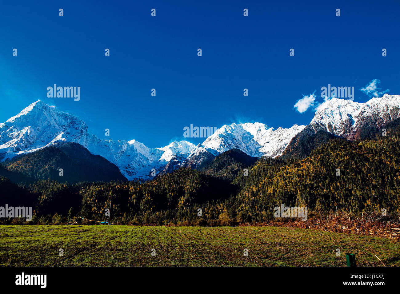 The snow mountains of Bomi County in Tibet Stock Photo - Alamy