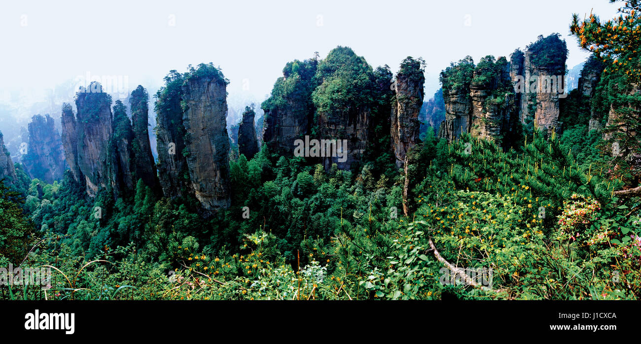 Zhangjiajie scenery,Hunan Province,China Stock Photo - Alamy