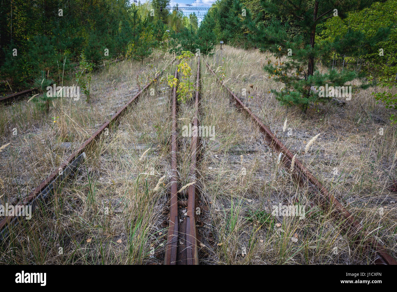 Old railway tracks near Prypiat city and Yaniv railway station in ...
