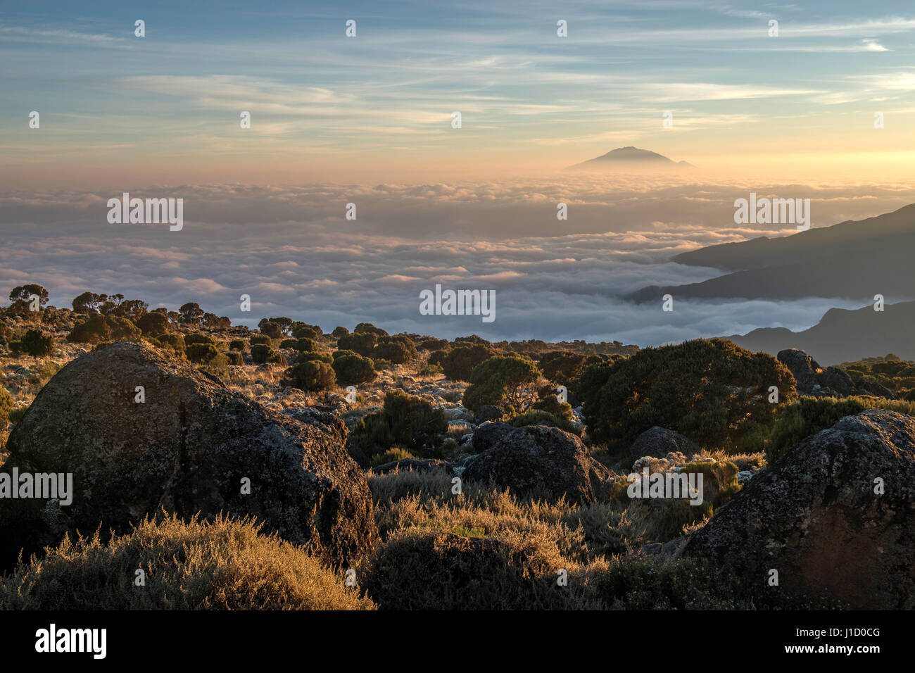 Meru peak of Kilimanjaro Stock Photo - Alamy