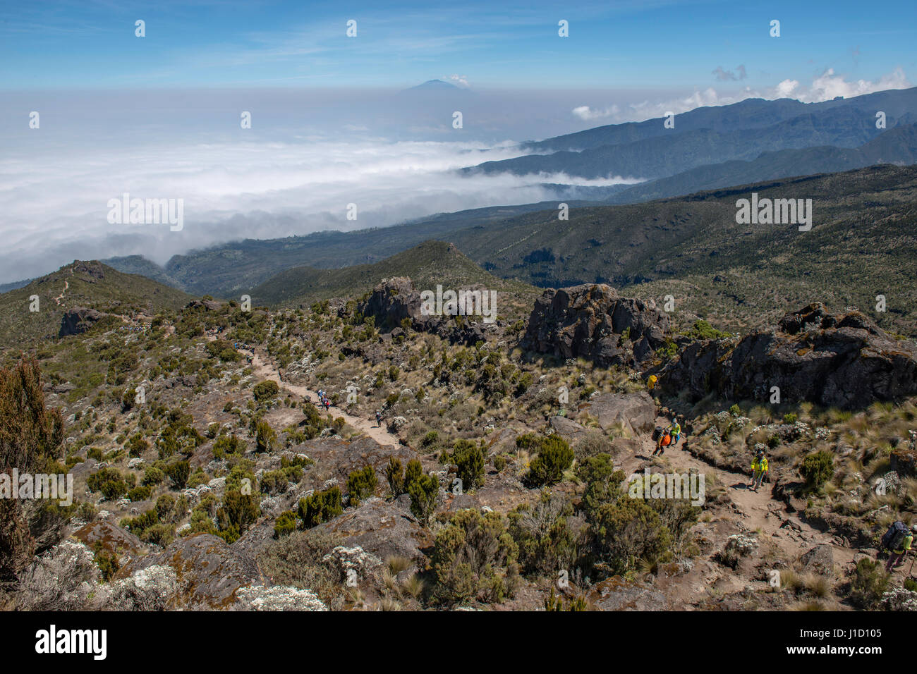 Meru peak of Kilimanjaro Stock Photo - Alamy