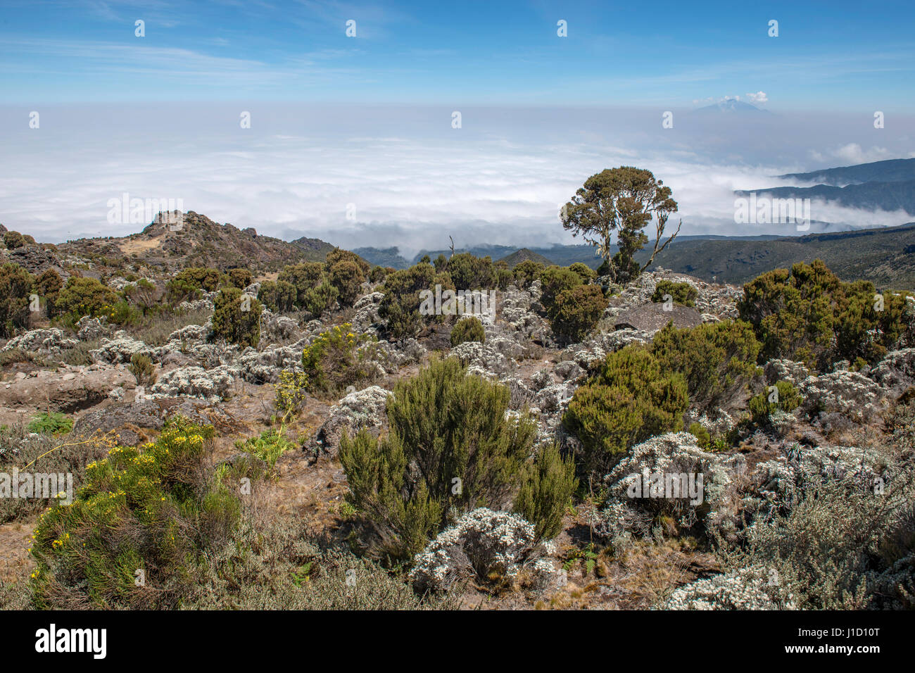 Meru peak of Kilimanjaro Stock Photo - Alamy