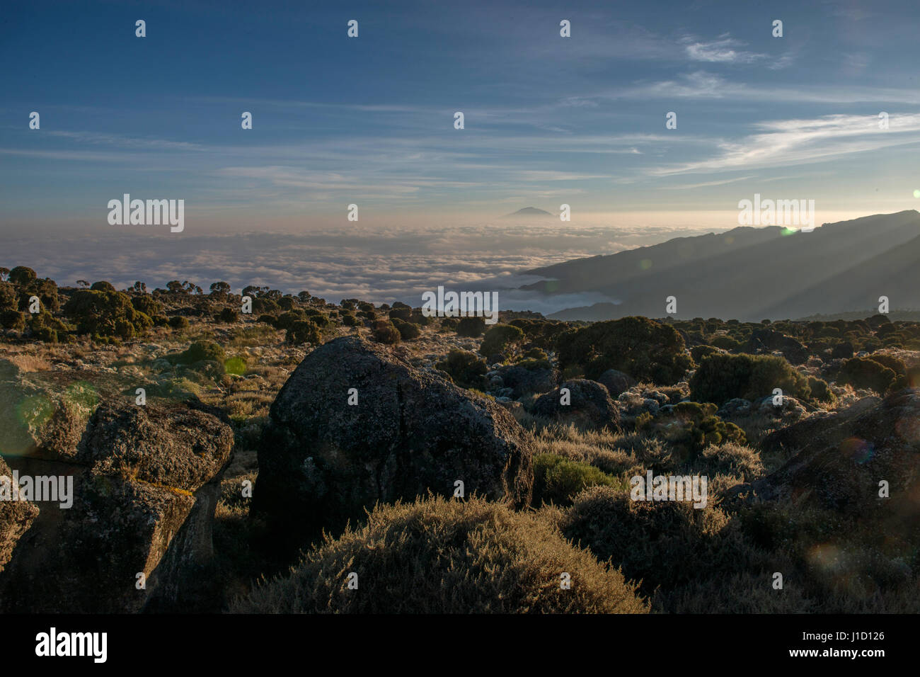 Meru peak of Kilimanjaro Stock Photo - Alamy