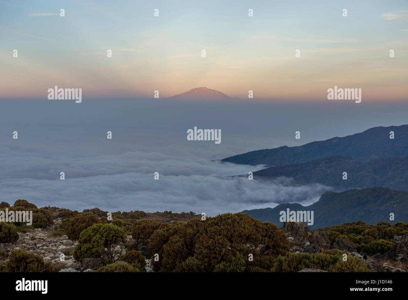 Meru peak of Kilimanjaro Stock Photo - Alamy