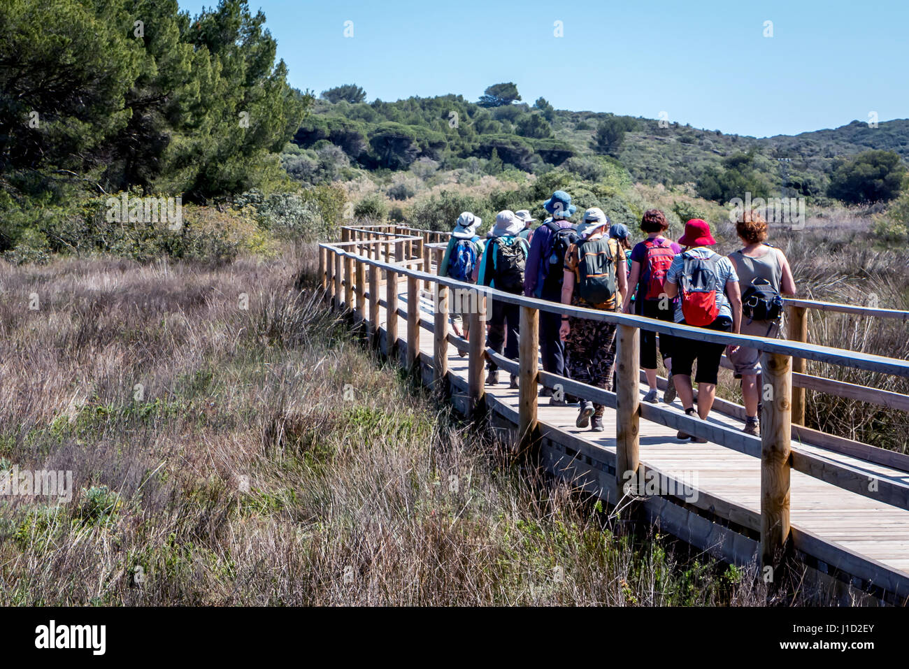 People walking on the boardwalks in a nature reserve at Es Grau ...