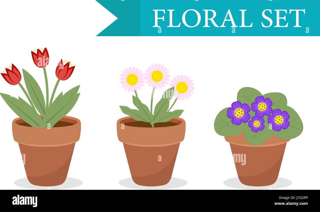 Flower pot with different flowers set, flat style. Flowerpot Collection ...
