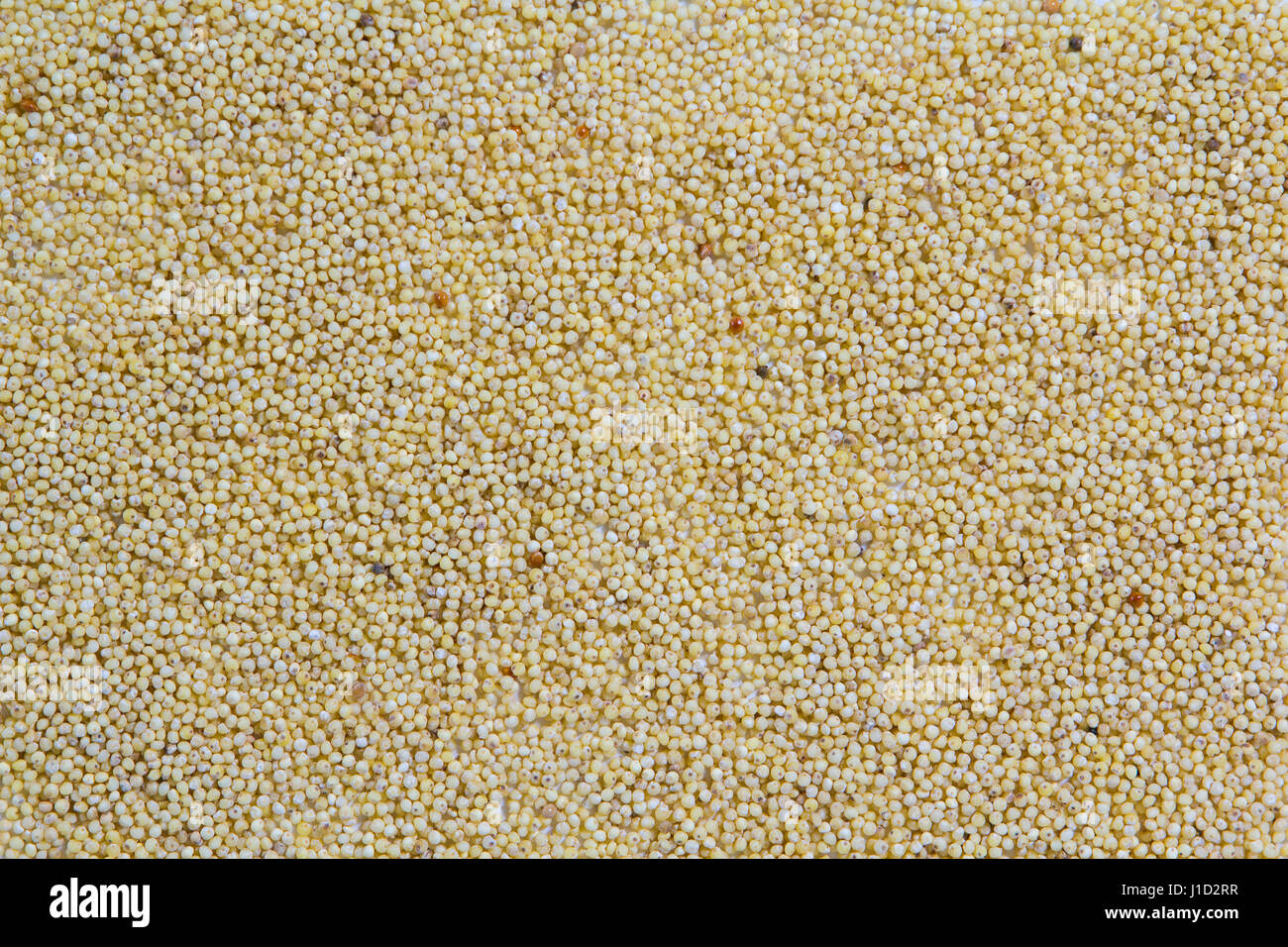Yellow millet groats background, raw millet texture Stock Photo - Alamy