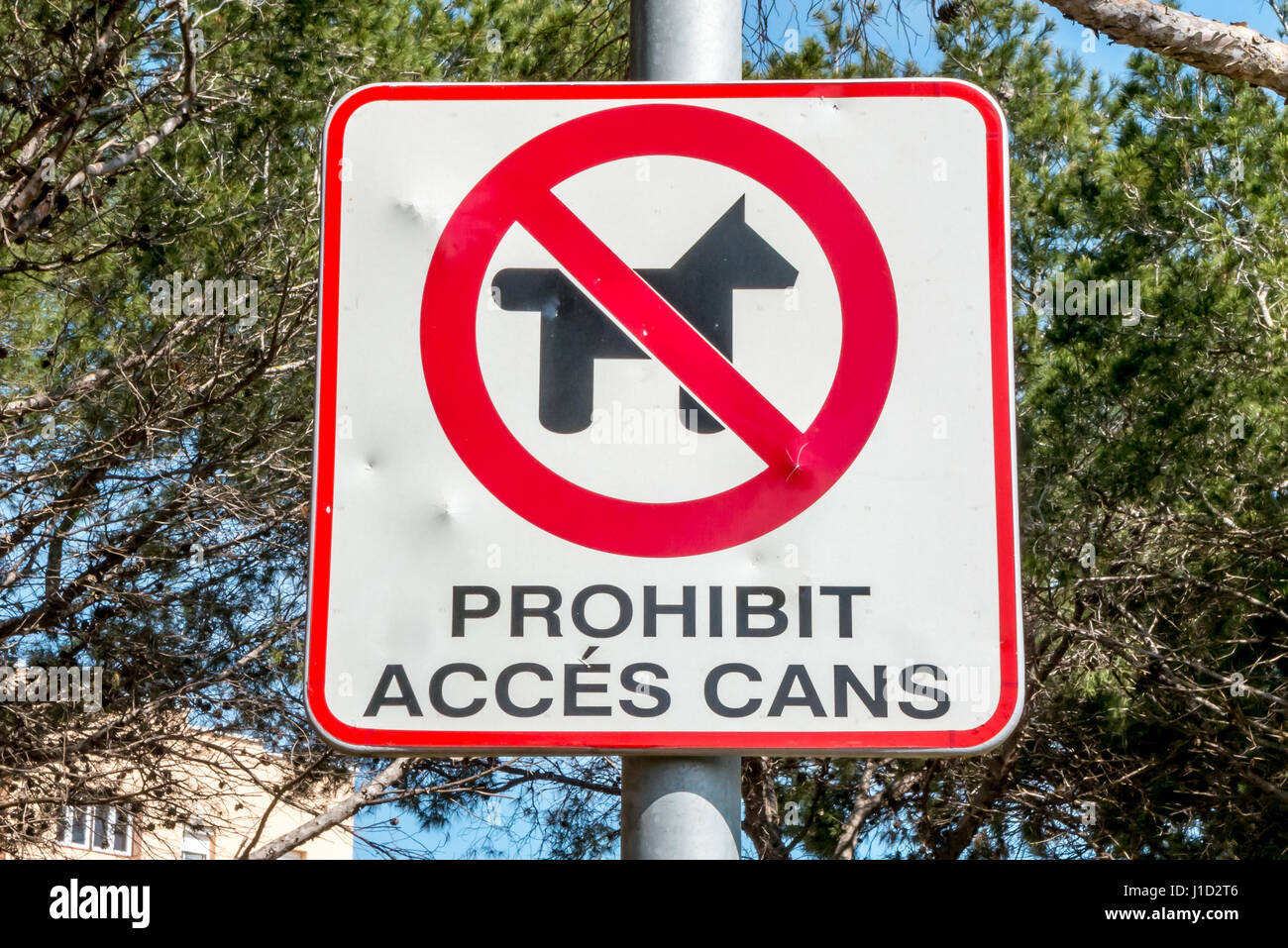 No dogs sign in Ciutadella, Menorca, written in Menorquin Stock Photo ...