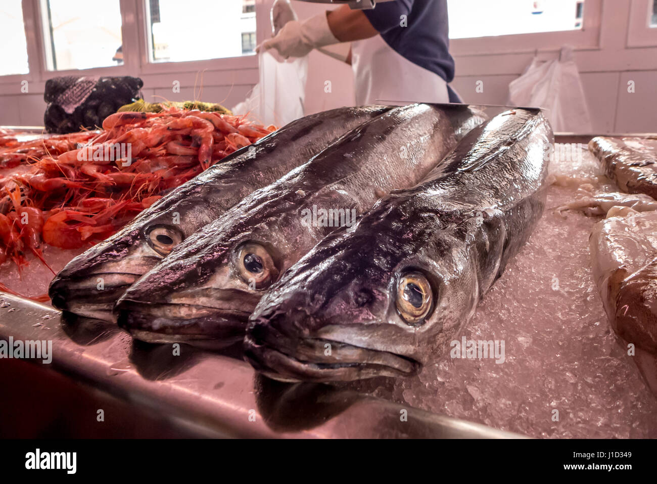 Ciutadella fish market menorca hi-res stock photography and images - Alamy