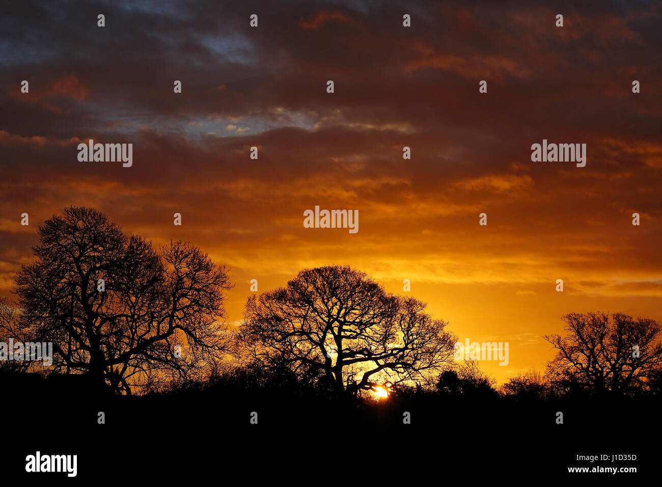 Dawn sky looking South East Willaston Village Wirral Cheshire UK ...